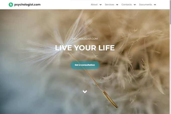 Create a stylish powerful website for you by Nostic867 | Fiverr