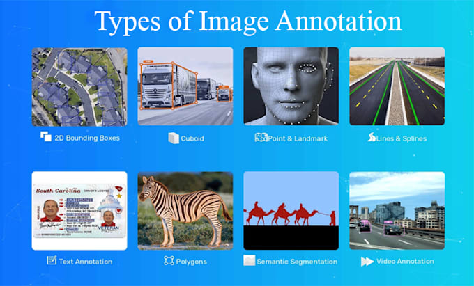 Do Text Annotation Object Detection With Bounding Box For Ai By Nishattasnim323 Fiverr