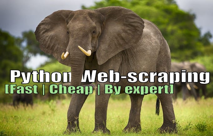 5 More Free Create Python Software For Parsing Scraping By Printelephant Fiverr 4078
