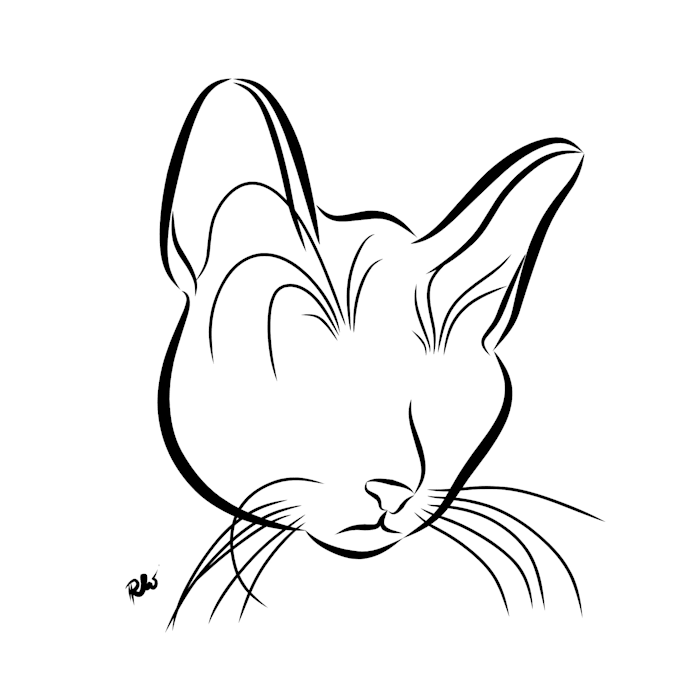 Creating vector line art digitally by Notento | Fiverr