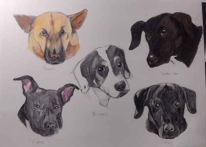 Draw your family pets by Artsbydre | Fiverr