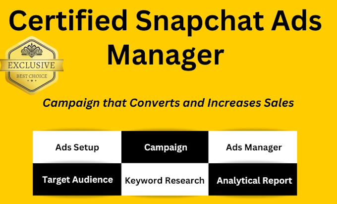 Create approved snapchat ads manager and campaigns perfectly by Shezi ...