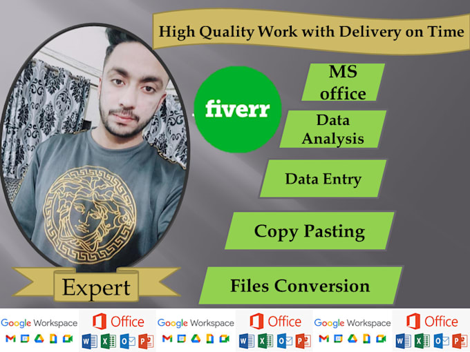 Do data entry, copy pasting, files conversion, ms office n google ...