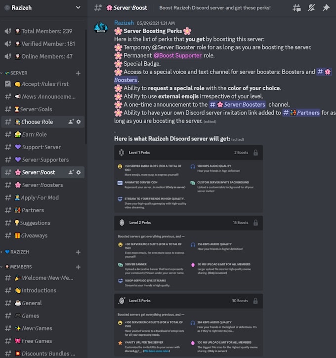 Setup, manage, moderate your discord server by Razizeh | Fiverr