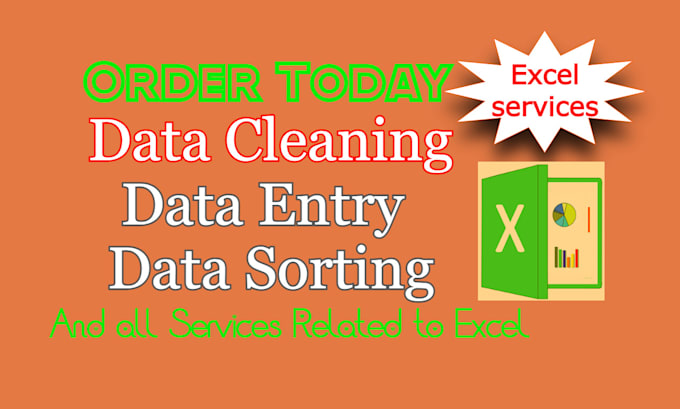 Do, excel data cleaning, data entry, data formatting by Skhawtali | Fiverr