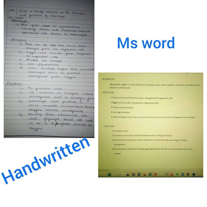Help you to type your handwritten notes to ms word by Sugadesh | Fiverr