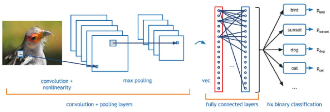 Build image classification models using cnn by Sravan_d | Fiverr