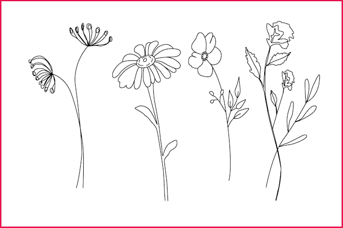 Draw botanical flowers, fruits, plants, foods line art by Sondhi_khan | Fiverr