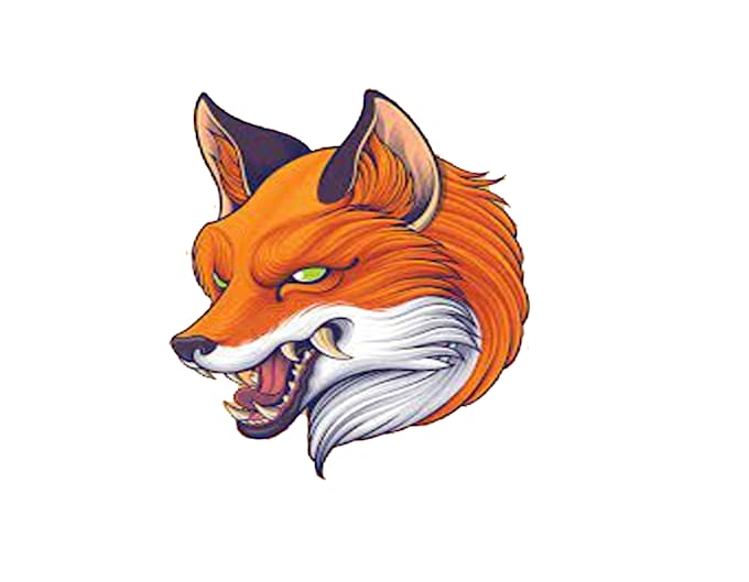 Design creative japanese fox logo for you in just 1 day by Tanyan ...