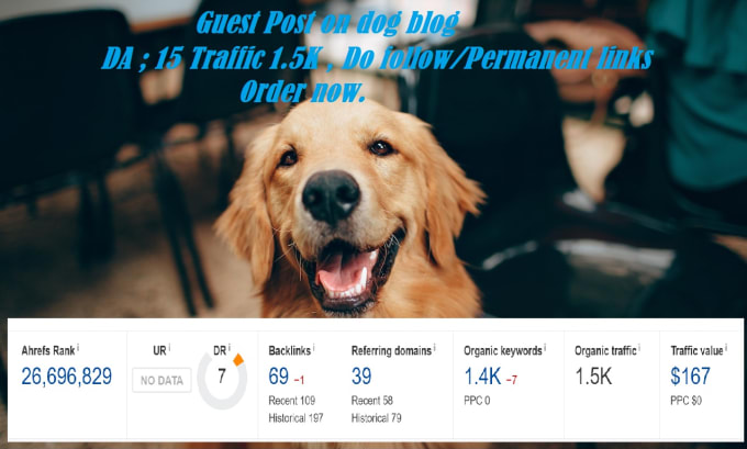 Do a guest post on dog blog by Umairhaider812 | Fiverr