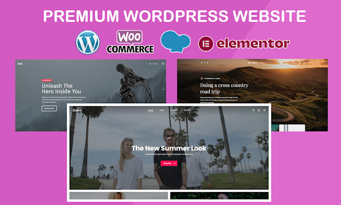 Build premium wordpress website and ecommerce by Nadirsanchez | Fiverr