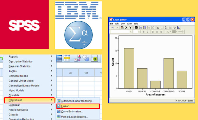 Do statistical analysis for your quantitative research by using spss by Shabnamameen | Fiverr