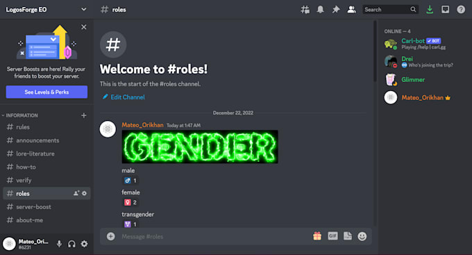 Create a discord server for your needs by Danielgordon369 | Fiverr