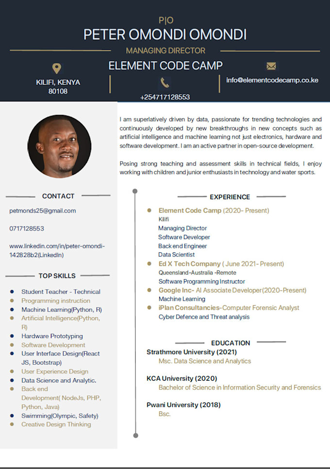 Create a professional resume that is well matching by Peteromondi992 ...