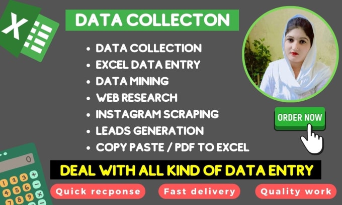 Do data collection, excel data entry, b2b lead generation, web scraping research by ...