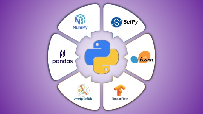 Do Any Python Projects Scripts Automation Tasks Assignments Gui By Jaisiyal Fiverr