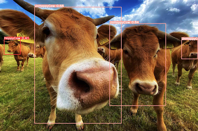 Do Object Detection Using Yolo Models By Rimshabhatti16 Fiverr