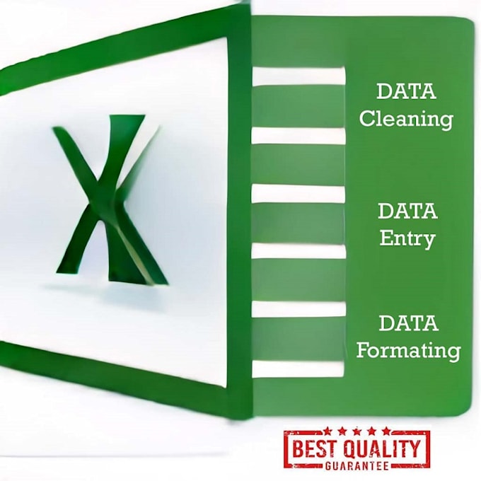 Provide excel data entry, cleaning, sorting, reconciliation by ... Provide excel data entry, cleaning, sorting, reconciliation by ...