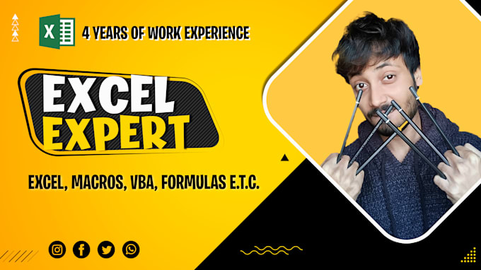 Work on vba projects, formulas projects and macros project by ...