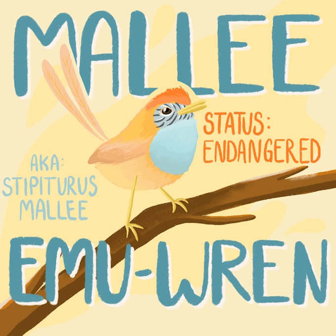 Create easy to understand information illustrations by Genevievelamb ...