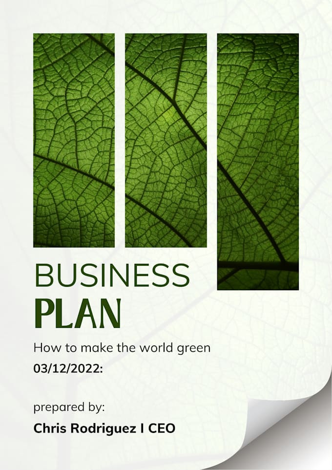 Turn your existing business plan into a visual document by ...