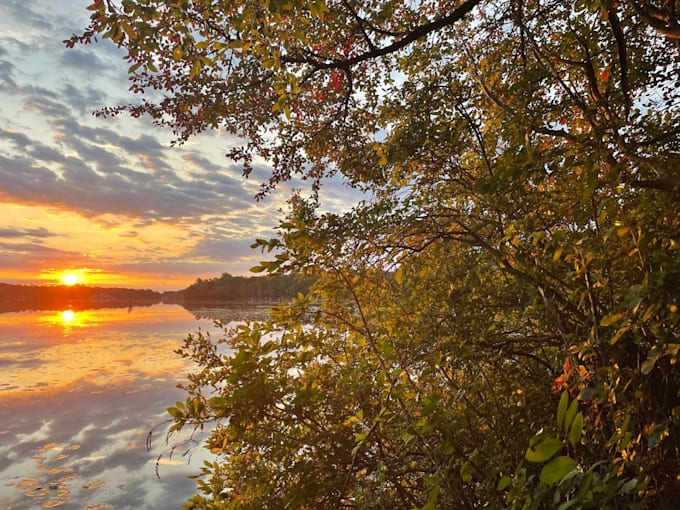 Take 5 incredible photographs of nature scenes by Dlampetia | Fiverr