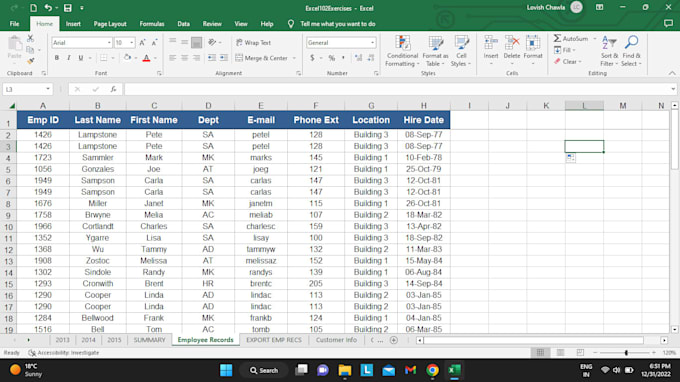 Do sorting and filtering, and data cleaning by Lovish_chawla | Fiverr