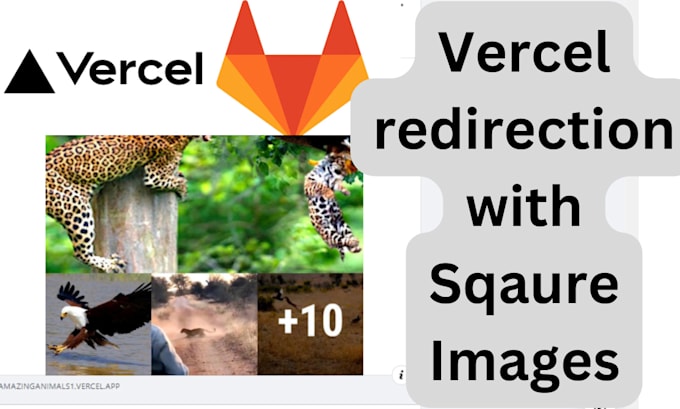 Create vercel redirection with square image for wordpress by ...
