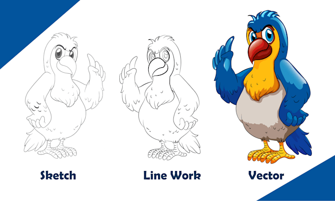 Do sketch to vector, image to vector, vector tracing by Skeditzs | Fiverr