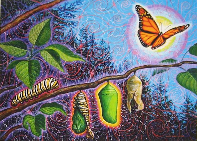 Get you to understand yourself by Marcomortato | Fiverr