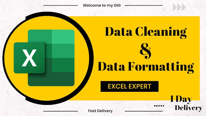 Do Excel Data Cleaning Data Entry And Data Formatting By Rahul