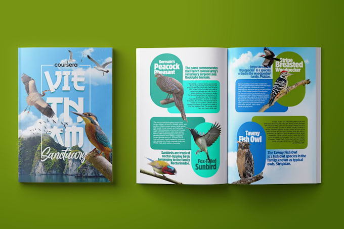 Create for you some real nice layout designs by Animesh0509 | Fiverr