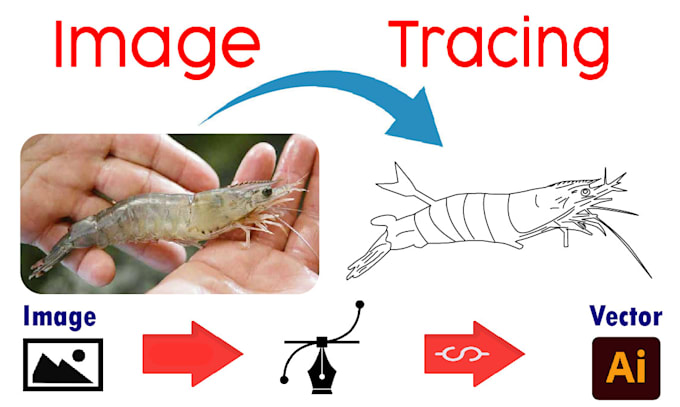 Line art illustration vector tracing image to tracing by Asifmariya ...