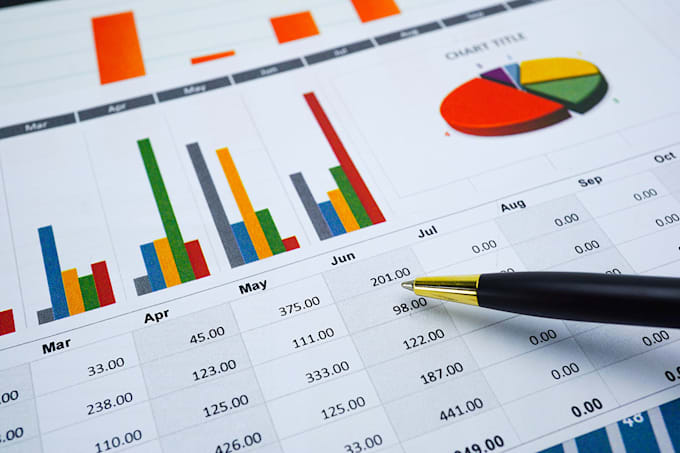 Excel Reports Formulas Automatization Courses By Alexandrupopini Fiverr