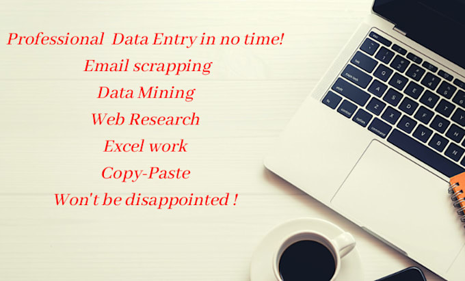 Do data entry, excel data cleaning, copy paste, web scraping by Sameera_14 | Fiverr