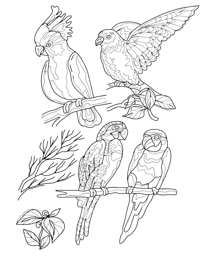 Draw coloring book for kids and adults by Paintartcreate | Fiverr