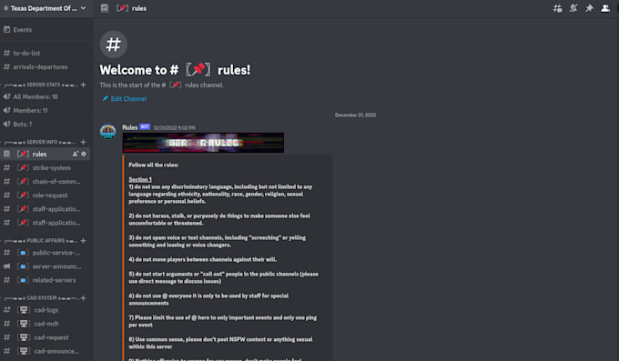 Make you a really organized and professional discord server for a low ...