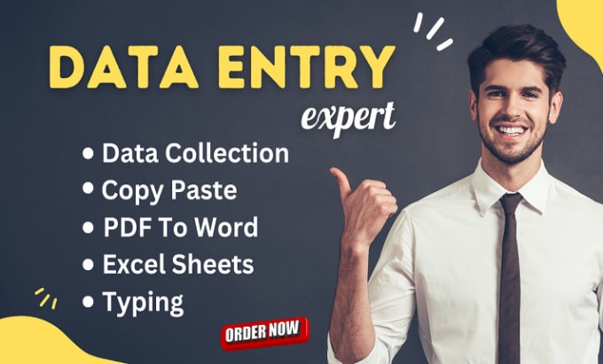 Do Data Extraction Formatting Excel Cleaning Manual Typing Expert Service By Sulemanali293