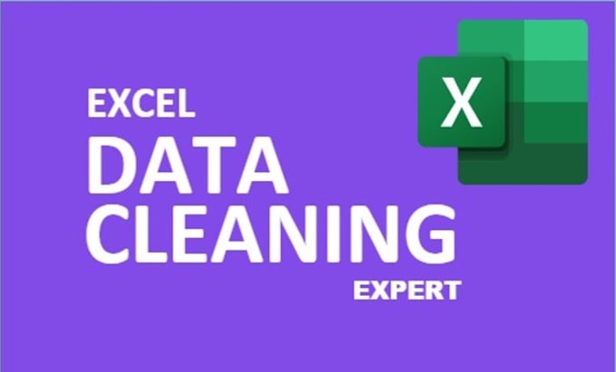 Do data cleaning, seprating, sorting, organize, format excel by Faysalsaleem785 | Fiverr