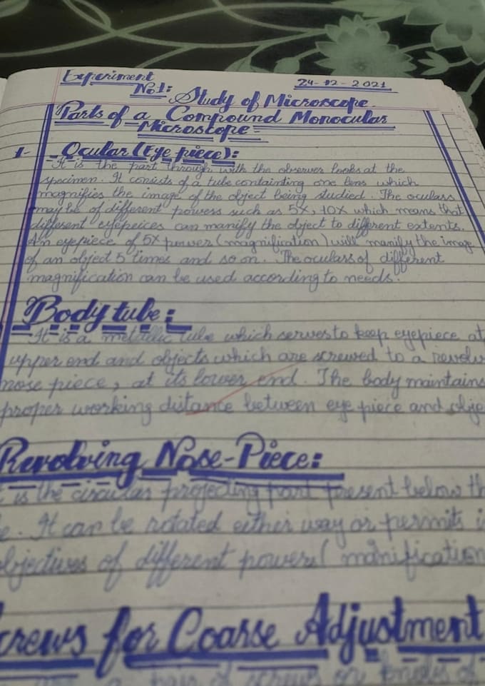 Write anything for you in my attractive handwriting by Maliha990 | Fiverr