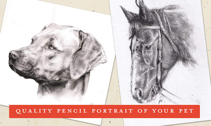 Draw a realistic pencil portrait of your pet by Nikolgreplova | Fiverr