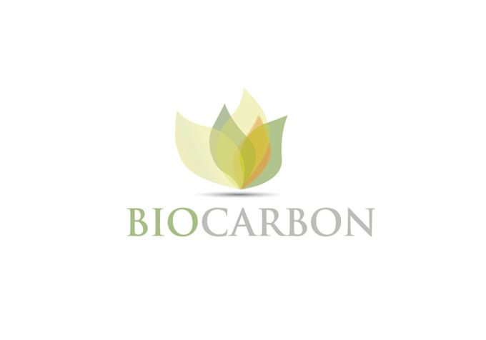 Design a unique environmental logo for your business by Tilly142 | Fiverr