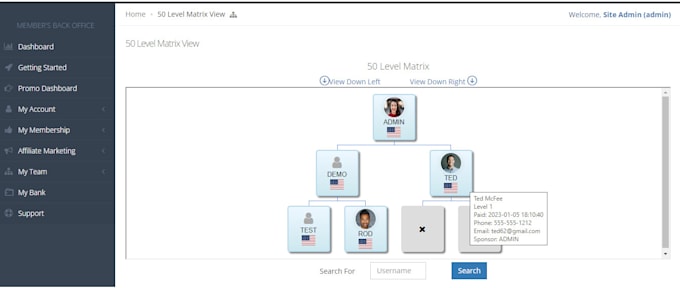 Build your 2x2 forced matrix mlm software website by Directsalesmlm | Fiverr