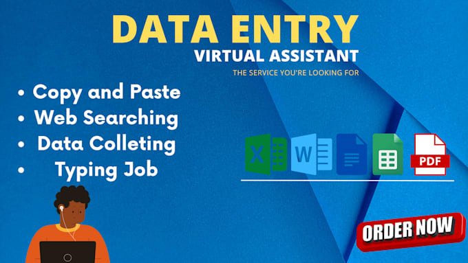 Properly and efficiently enter and organize data by Xpandemonium | Fiverr