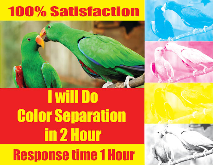 Do professional color separation by Asimdesigner6 | Fiverr