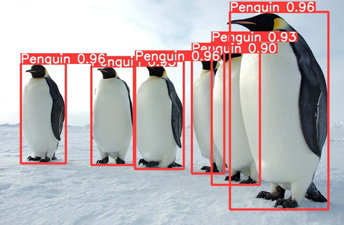 Train your yolov5 model by Adeka299aaa | Fiverr