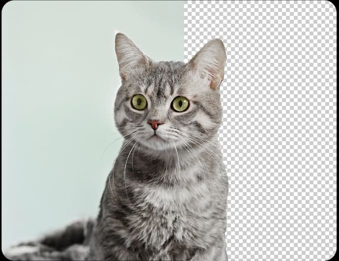 Make your background transparent in seconds by Luankafexholli | Fiverr