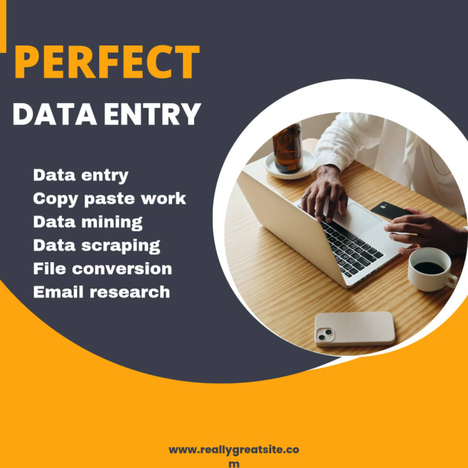 Do perfect data entry by Fathimamaharoof | Fiverr
