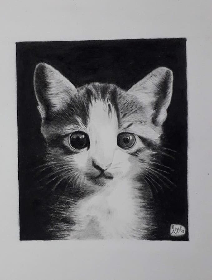 Draw pencil sketch portrait from photo by Anujaspatil | Fiverr