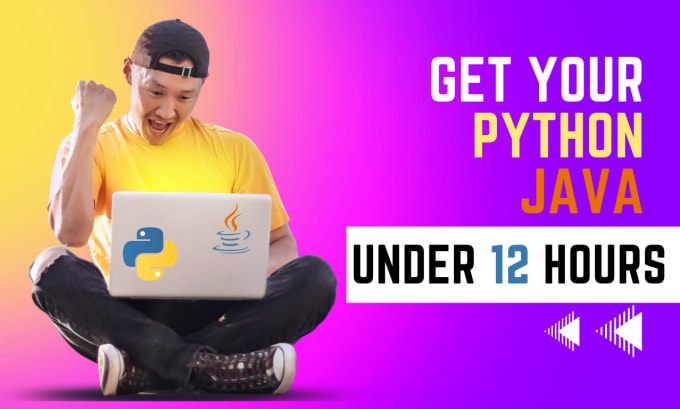 Do Your Python Java Programming And Gui Projects In 12 Hours By